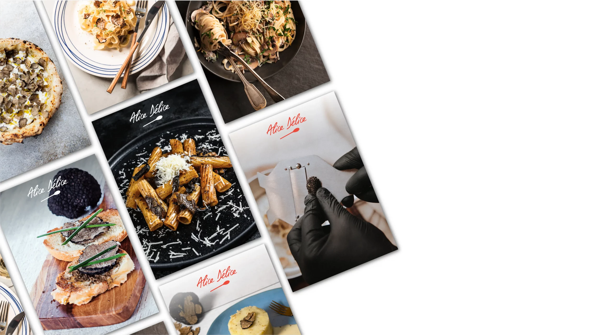 Alice Délice – HI AGENCY